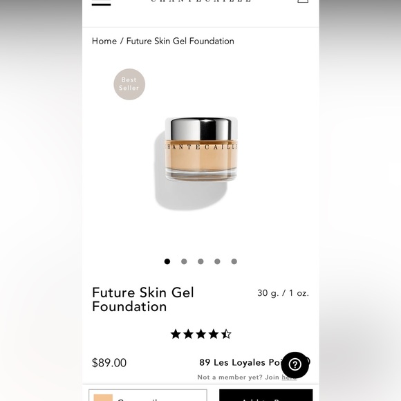 Chantecaille | Makeup | Chantecaille Future Skin Gel Foundation | Poshmark